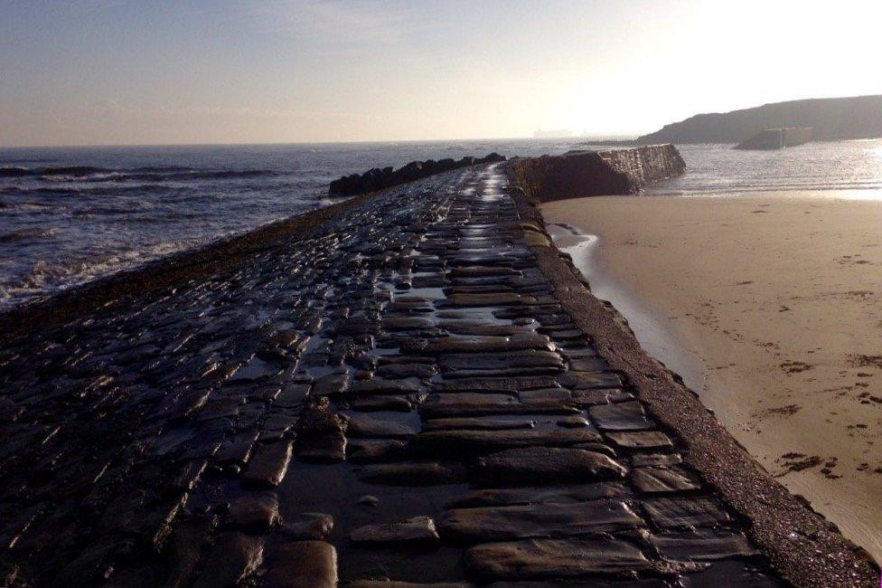Cullercoats sea rescue: Caitlin Ruddy dies after cardiac arrest - BBC News