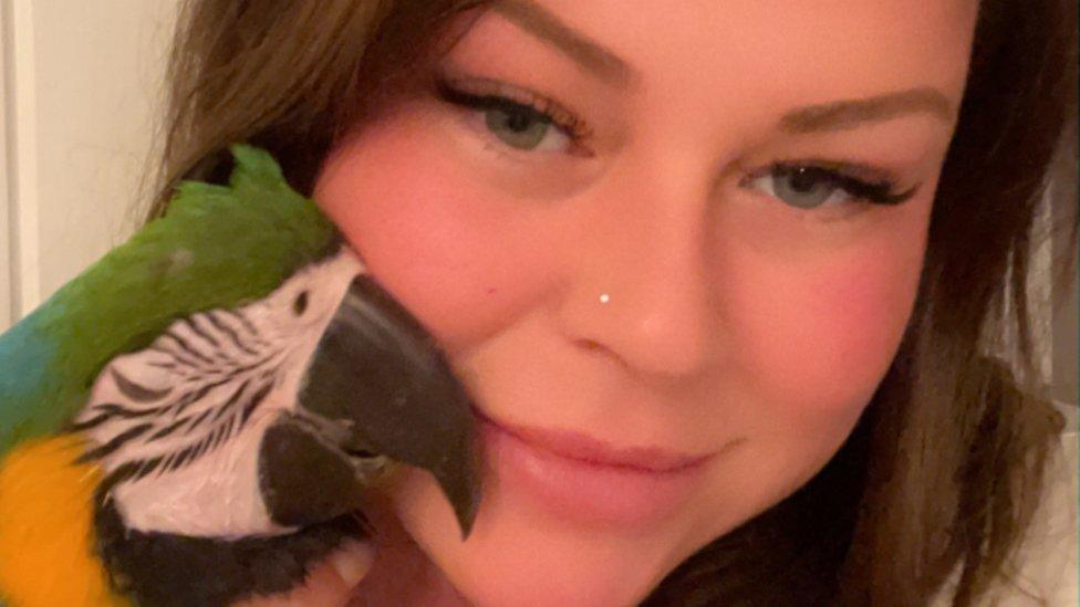 Trowbridge parrot owner thought parrot rescue would never end - BBC News