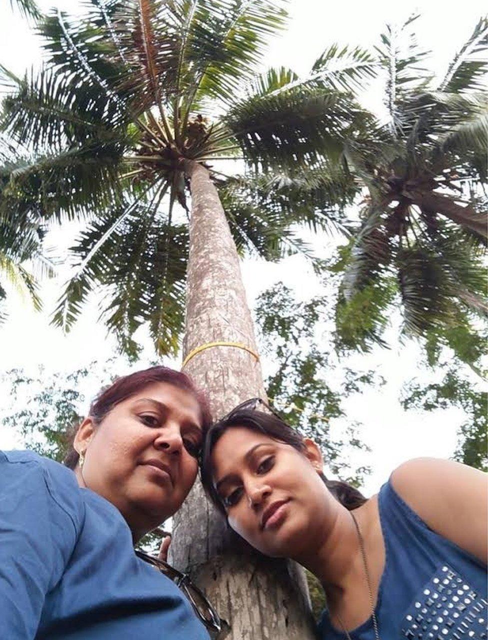 Why has Goa decided the coconut palm is no longer a tree? - BBC News