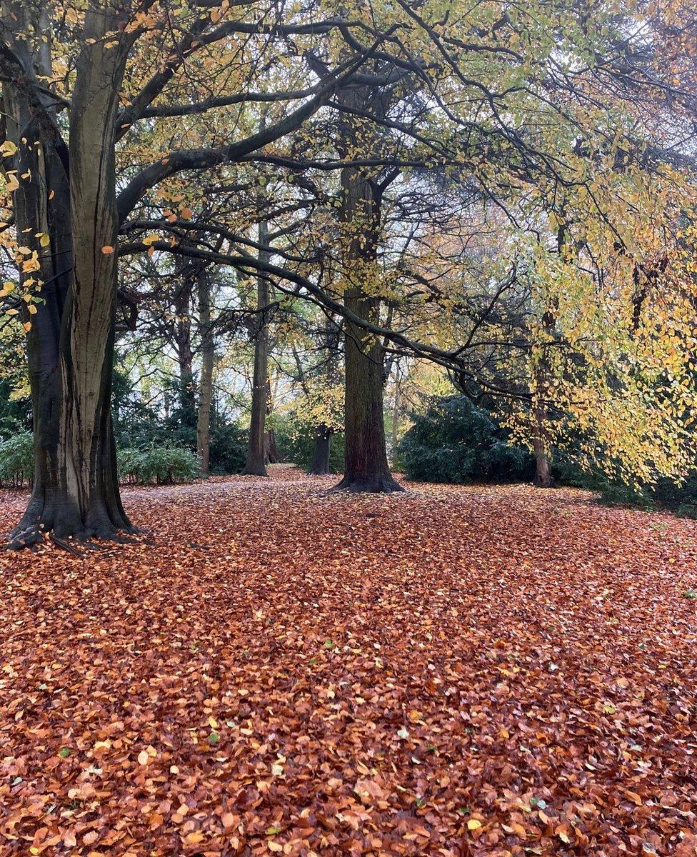 England's Big Picture: 14 November - 20 November 2022 - BBC News