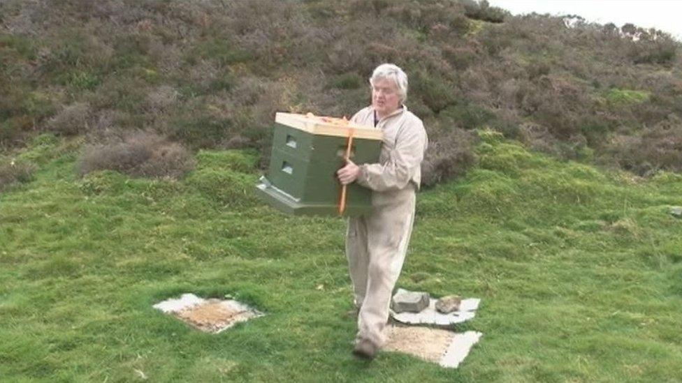 Scottish honey yield poor due to cold, wet summer - BBC News