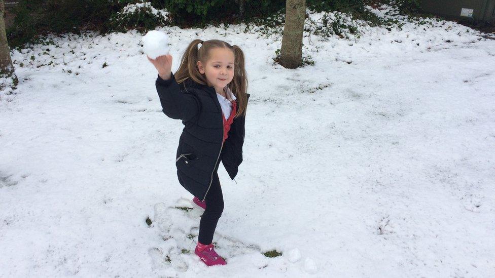 How giraffes helped Poppy Campbell find her voice - BBC News