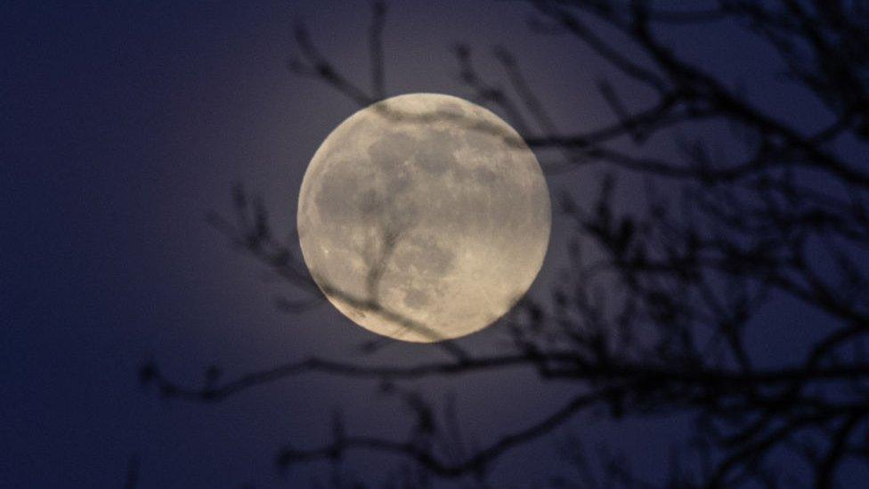 Full Snow Moon: What is a Full Snow Moon? - BBC Newsround