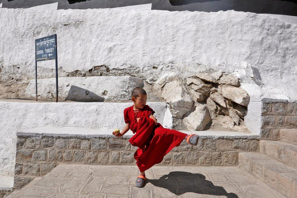 In pictures: Child monks of the Himalayas - BBC News