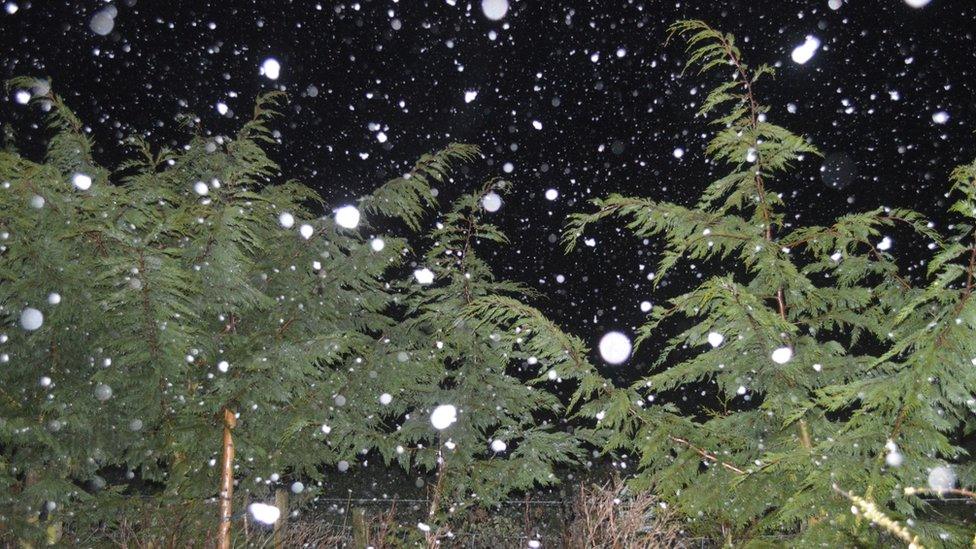 A look back at winter - BBC Weather