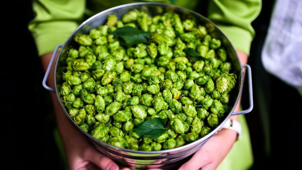 Craft beer revolution trickles down to South America - BBC News