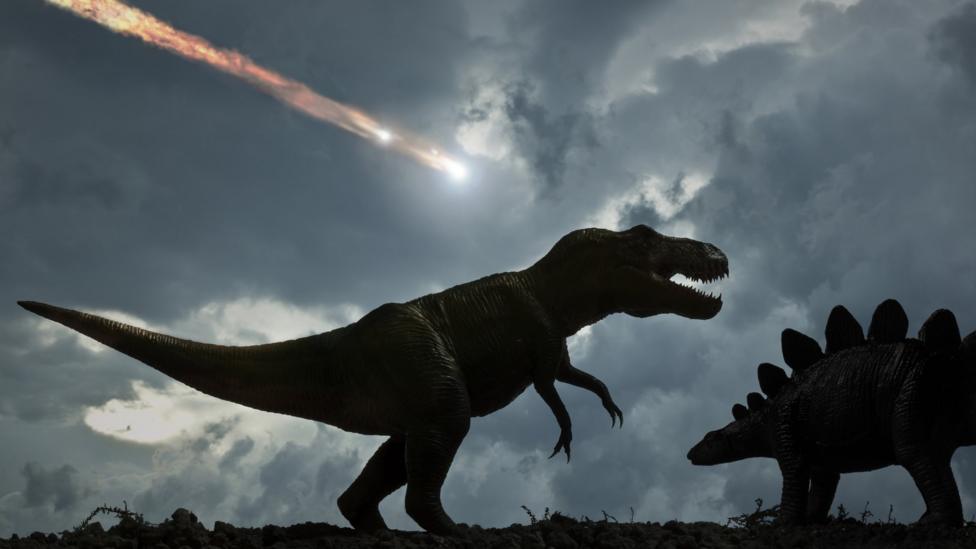 Space: Scientists discover 'Trojan' asteroid following Earth's orbit ...