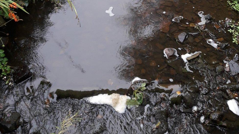 Afon Marlais slurry pollution kills 1,000 fish - BBC News