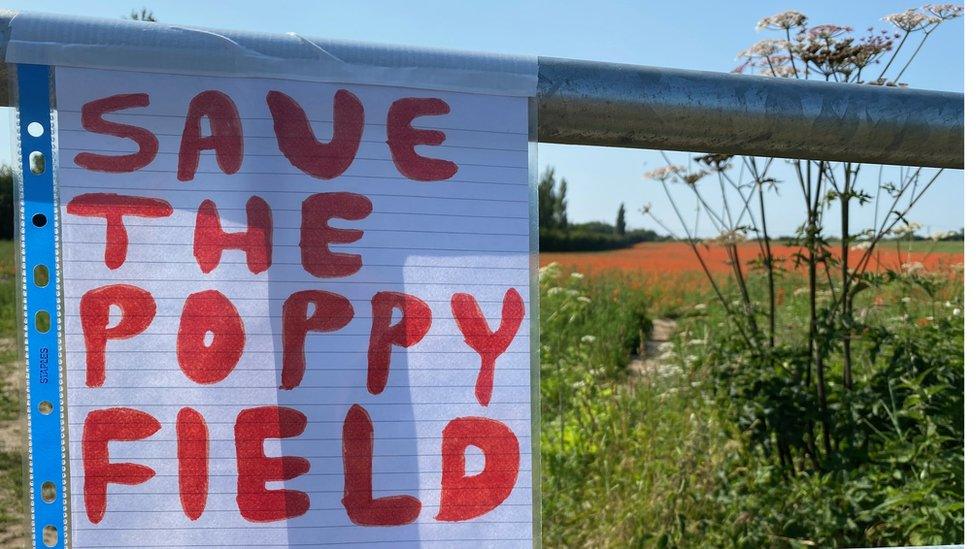 Poppies: Neighbours bid to save Keswick field from development - BBC News