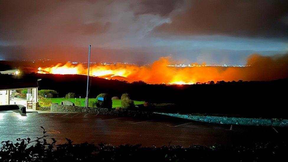 Large fire at Dorset coastal nature reserve extinguished - BBC News