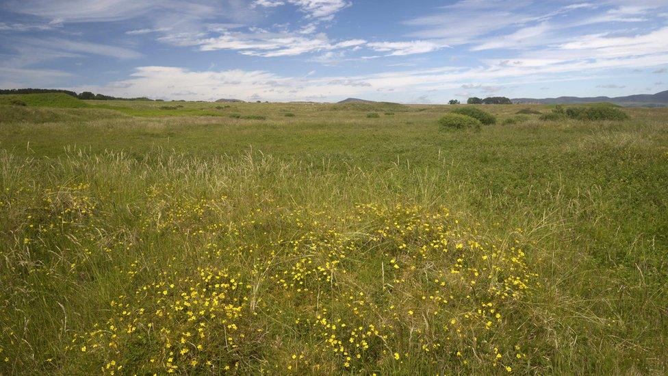 Coul Links golf course inquiry to begin - BBC News