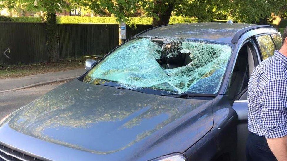 Deer smashes through windscreen and lands in girl's lap - BBC News