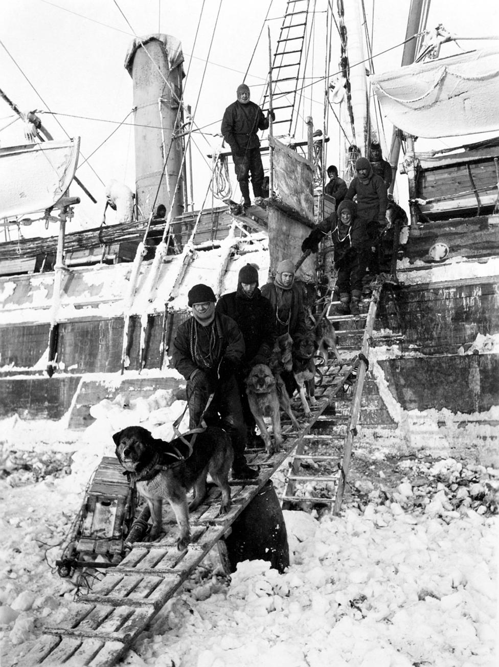 Stark images of Shackleton's struggle - BBC News