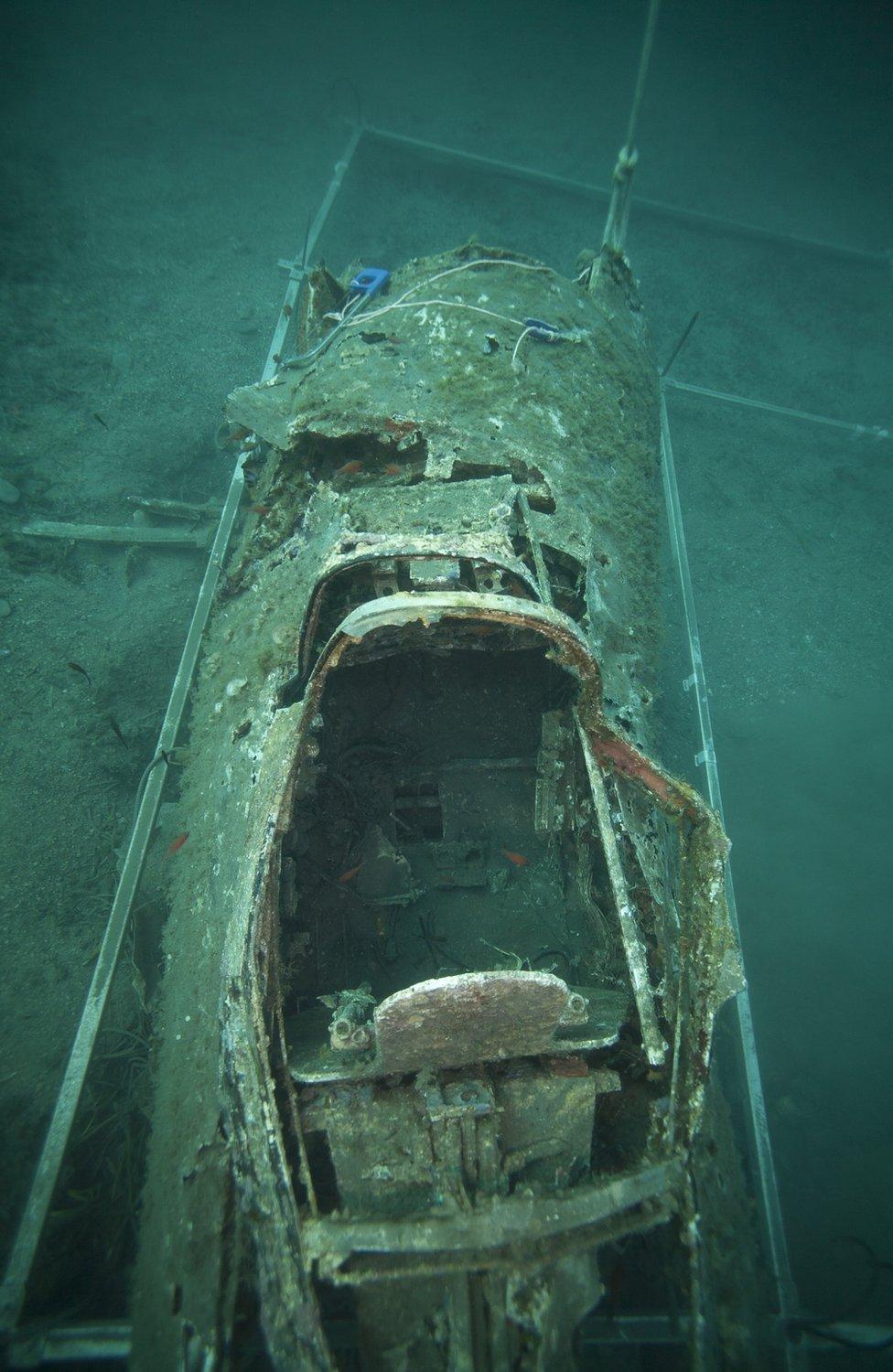 In search of American WW2 pilots missing off Corsica - BBC News