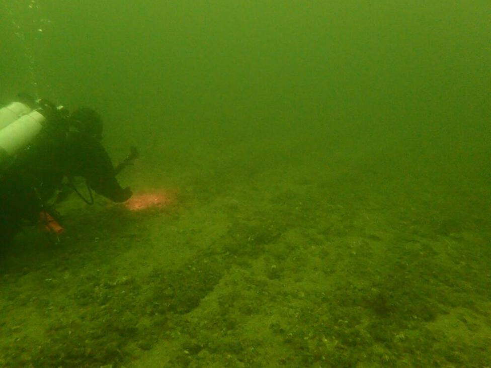 Rare Loch Carron flame shell reef 'devastated' by scallop dredger - BBC ...