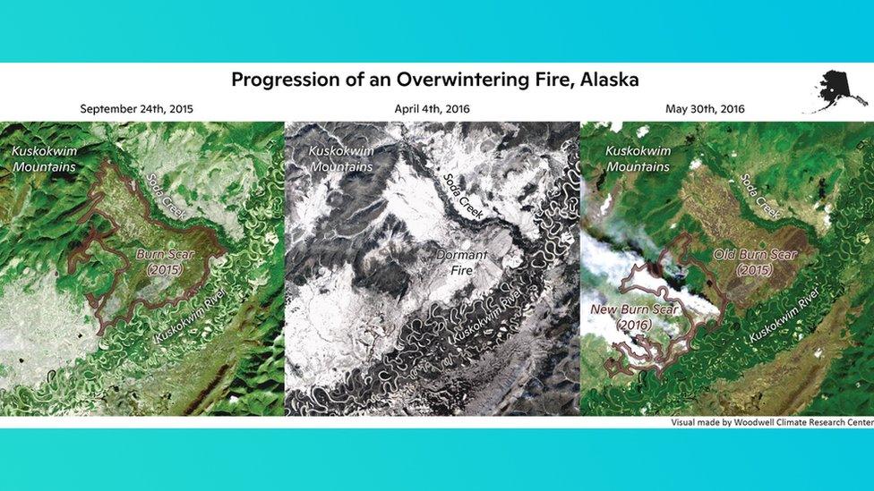 What are 'zombie fires' and why is the Arctic Circle on fire? - BBC ...