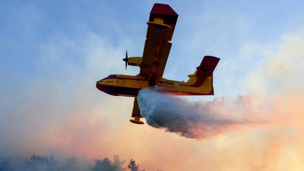 In pictures: Israel wildfires force evacuations in Haifa - BBC News