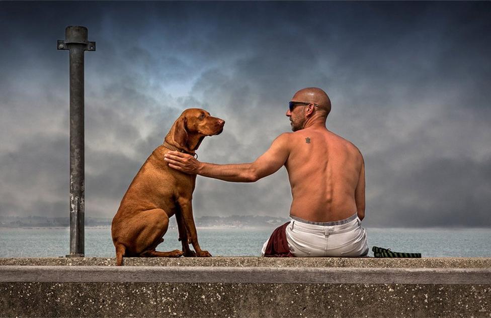 Your pictures on the theme of 'together' - BBC News