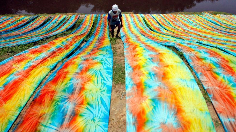 Week in pictures: 21-27 November 2015 - BBC News