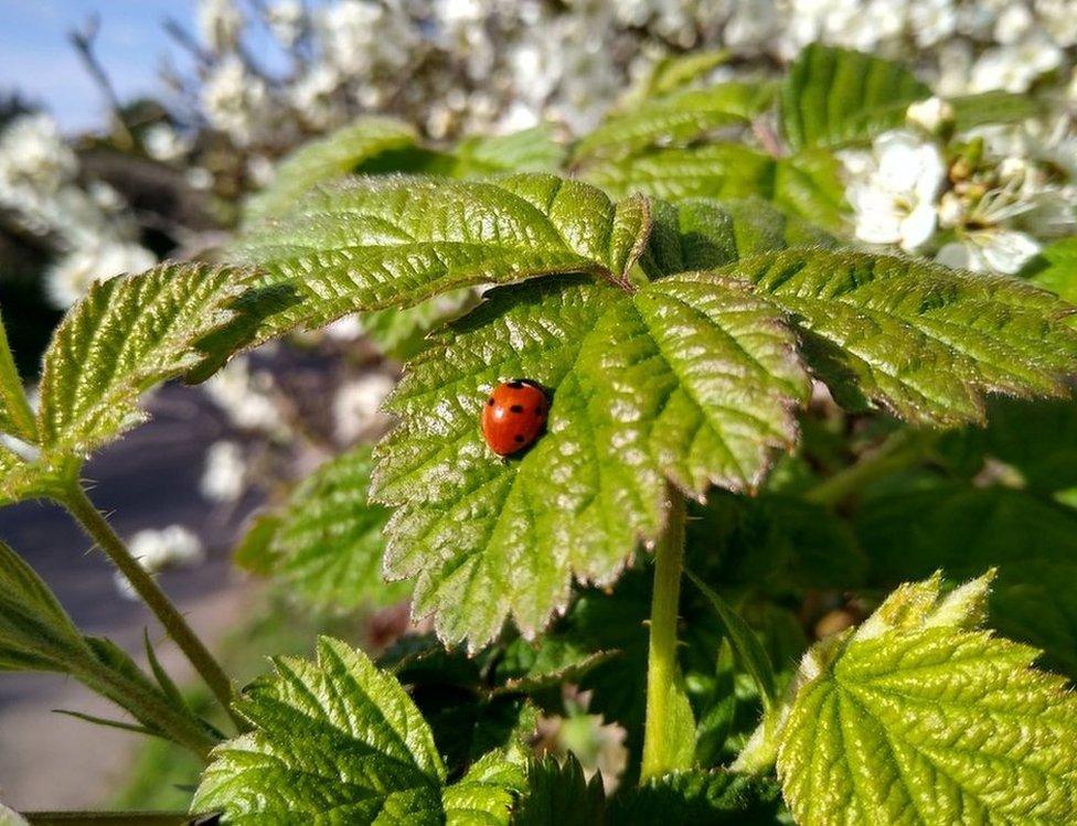 England's Big Picture: 3 April - 9 April 2023 - BBC News