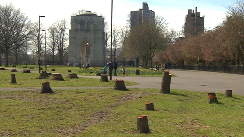 'Devastation' over 50 chopped Leicester Victoria Park trees - BBC News