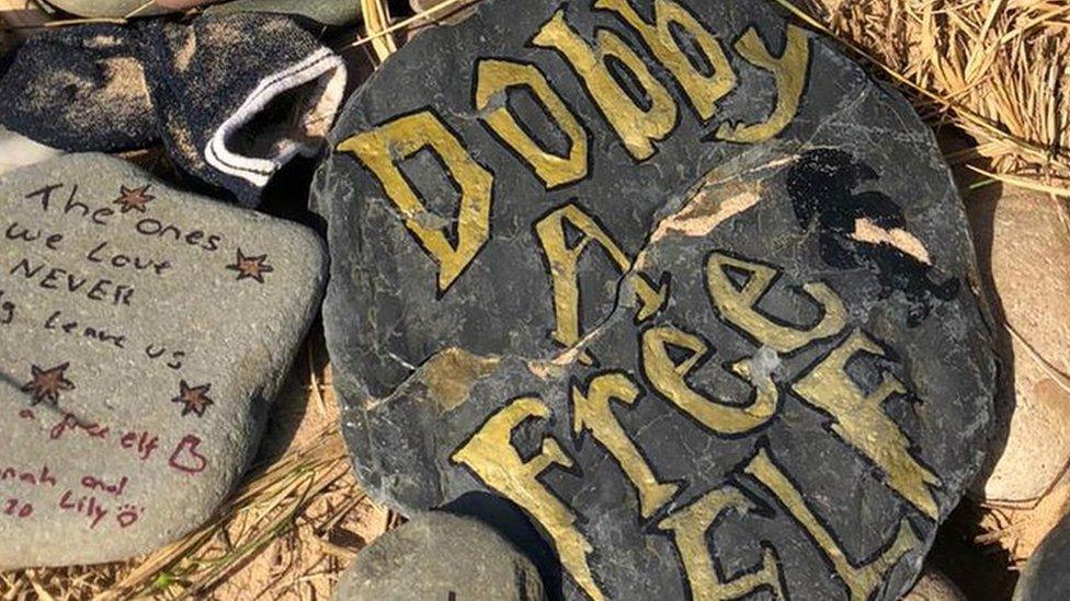 Harry Potter: Dobby's tribute site on Welsh beach saved for now - BBC ...
