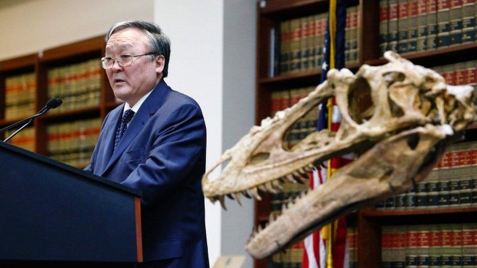 US returns looted Mongolian dinosaur fossils - BBC News