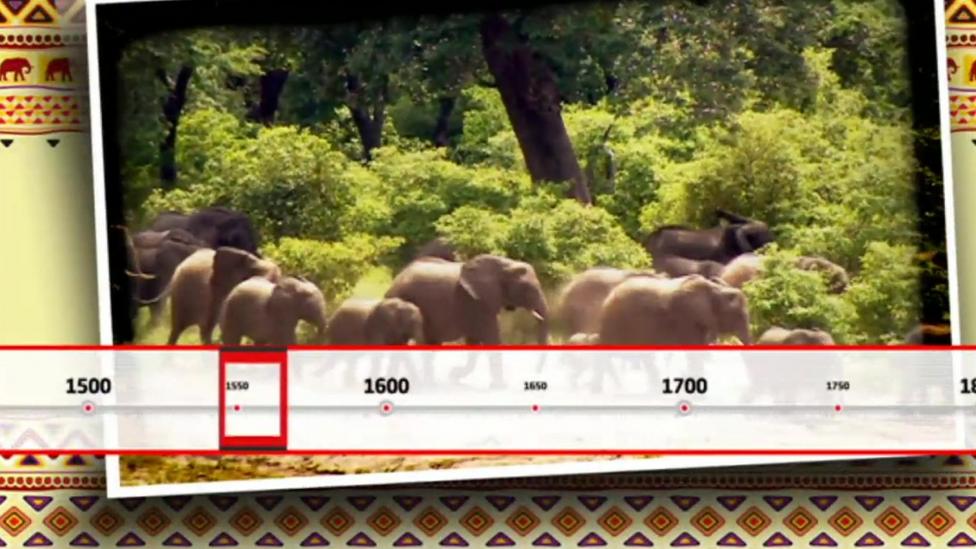 Sutton the elephant moves from West Midland Safari Park to zoo - BBC News