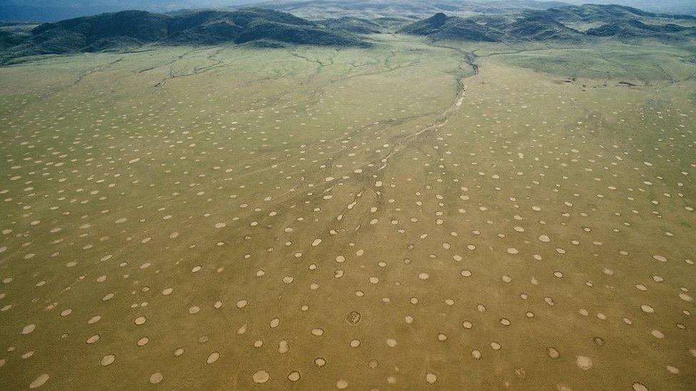 Fairy Circles: What are they and why do they form? - BBC Newsround