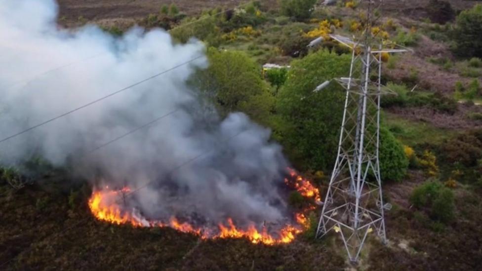Canford Heath: Fire crews put out third heath fire in month - BBC News