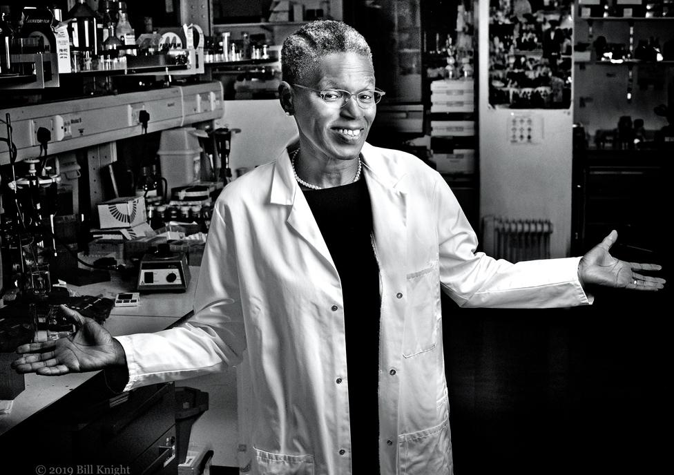 Portraits of Black Female Professors - BBC News