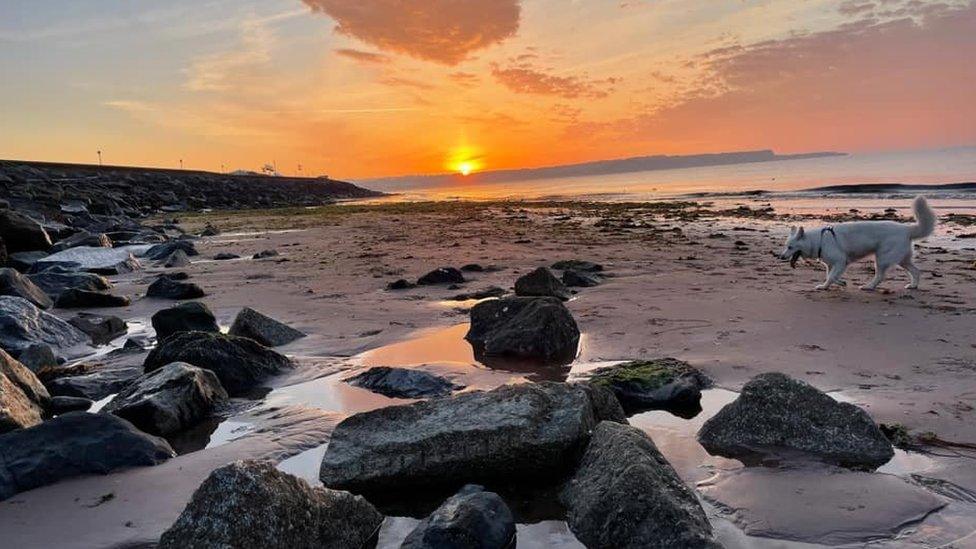 Summer Solstice 2022: Sunrise welcomed on longest day - BBC News
