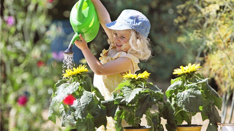 New BBC Let It Grow gardening campaign launched - BBC Newsround