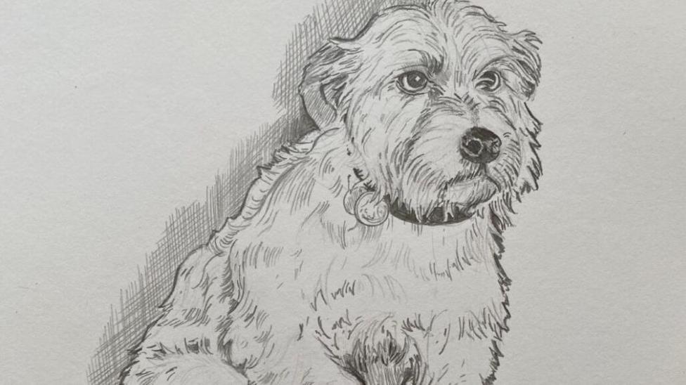 Lincoln dog that raised thousands for charity to get statue - BBC News