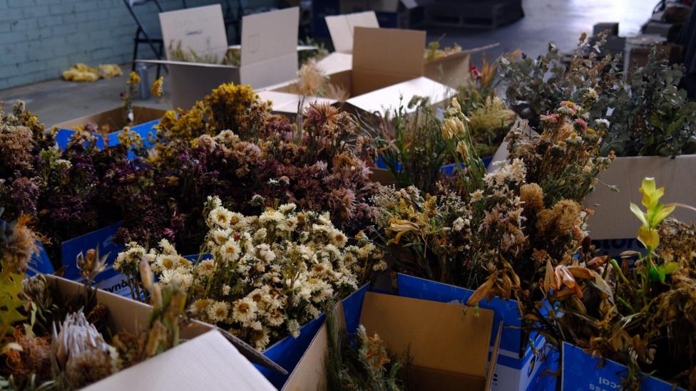 Why Sydney is preserving thousands of flowers after deadly Bondi attack ...