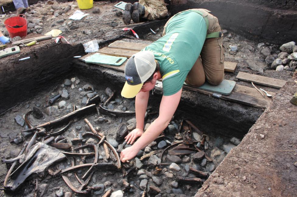 Star Carr stone age treasures to be displayed at Yorkshire Museum - BBC ...
