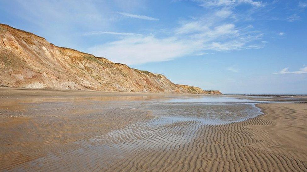 Mantellisaurus: Dinosaur footprints found on Isle of Wight beach - BBC ...