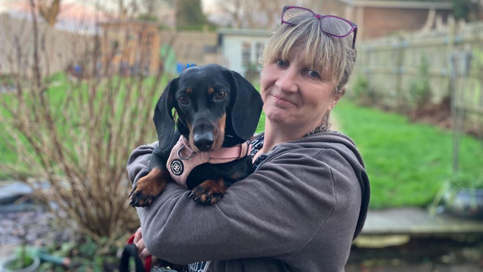 Rescued dogs now 'bringing joy' to owners - BBC News