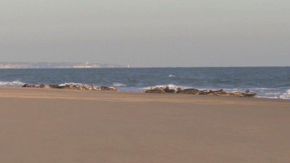 Goodwin Sands: Not dredging 'will cost £500m', warns firm - BBC News