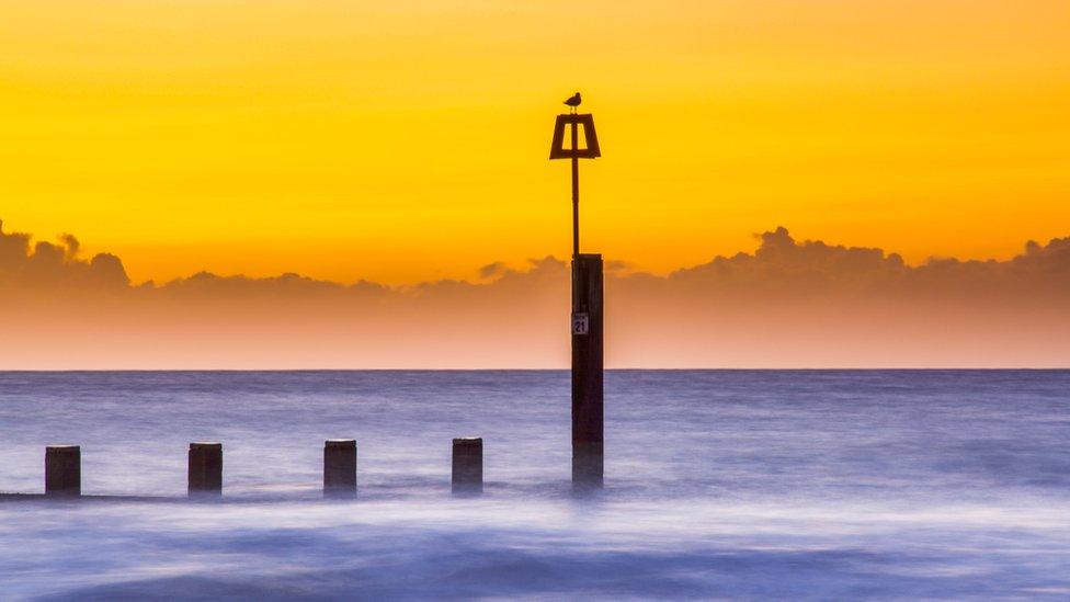 England's Big Picture: 1 - 7 February 2016 - BBC News