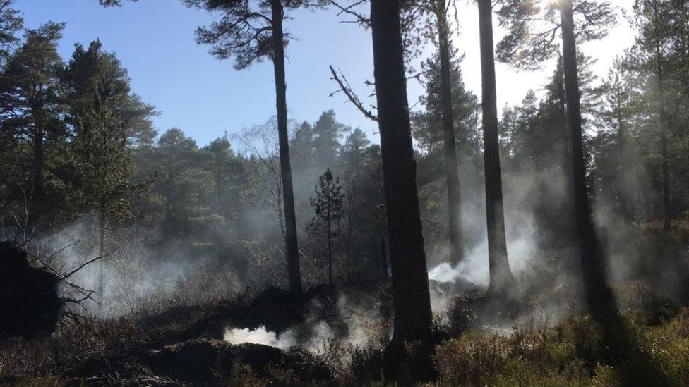 Firefighters tackle large wildfire near Strathpeffer - BBC News