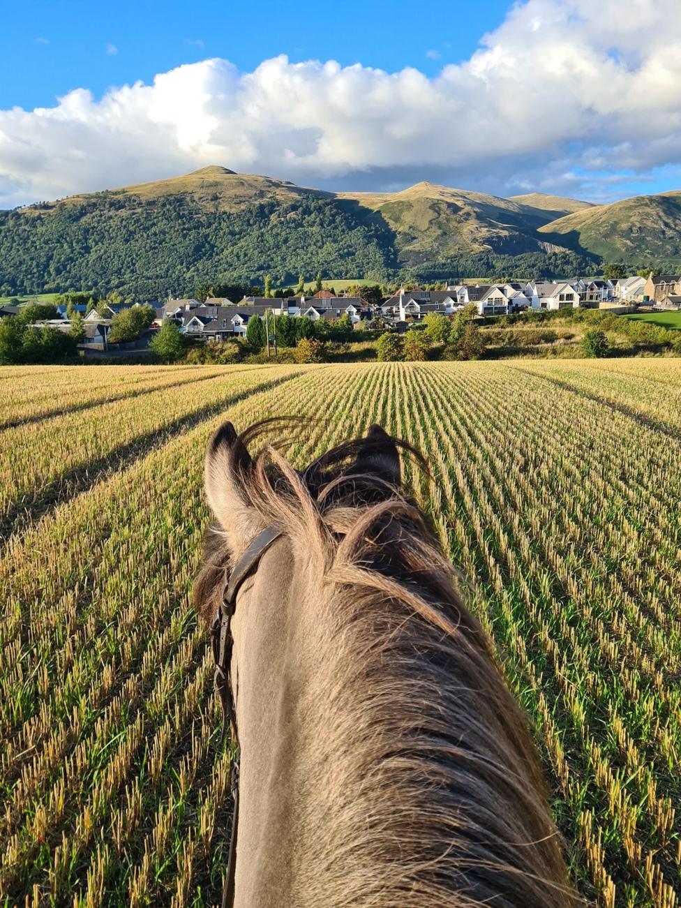 Your pictures of Scotland: 23-30 September - BBC News