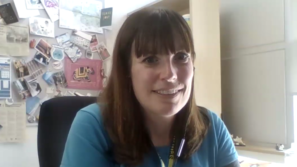 Cold snap could have killed thousands of jellyfish in Cornwall - BBC News