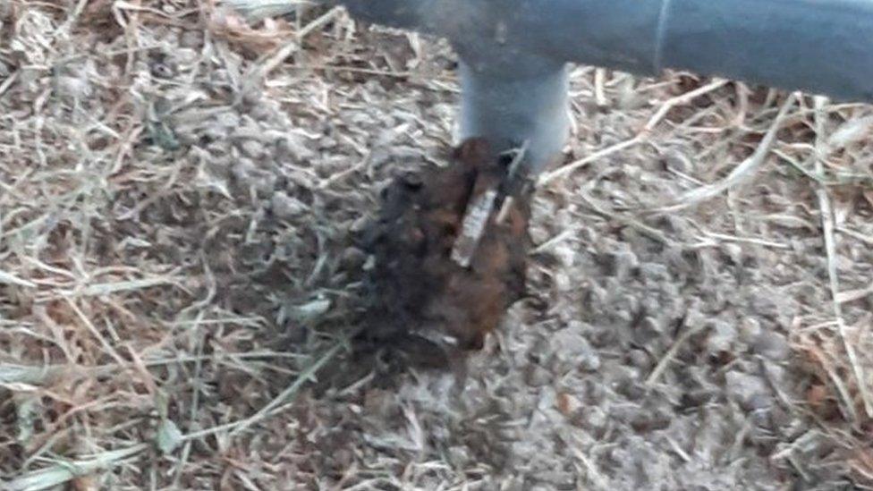 Chesterfield school evacuated after pupil brings in hand grenade - BBC News