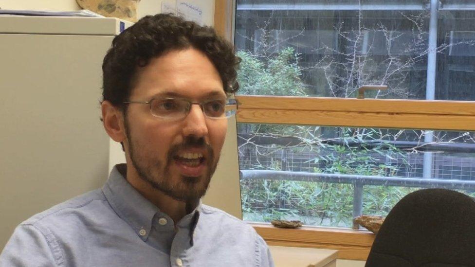 How does your brain pick one word from 50,000 in 0.6 seconds? - BBC News