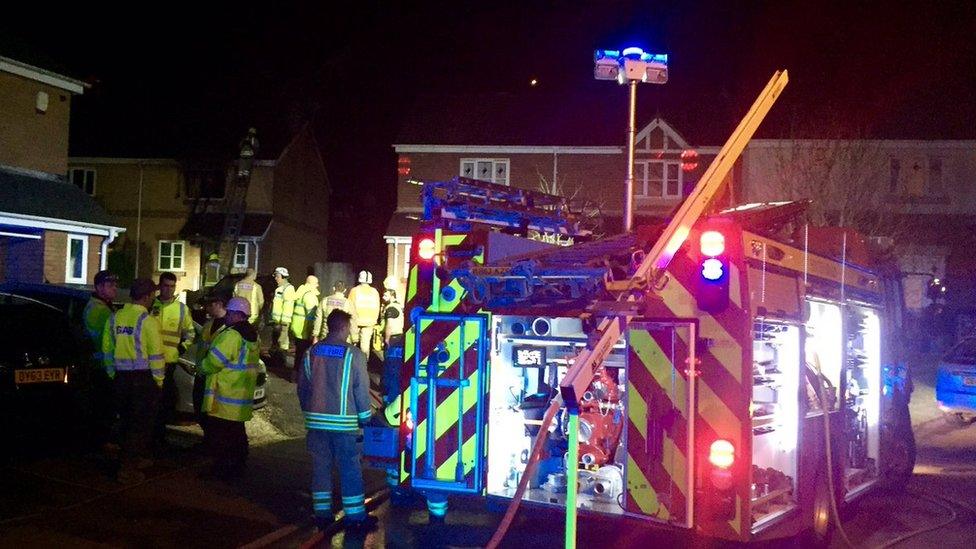 Caerphilly halogen heater fire kills dog and injures man - BBC News