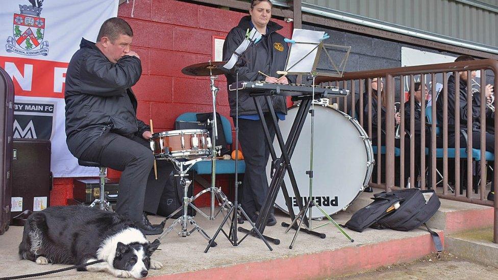 Maltby Main FC claims world record in dog charity event - BBC News