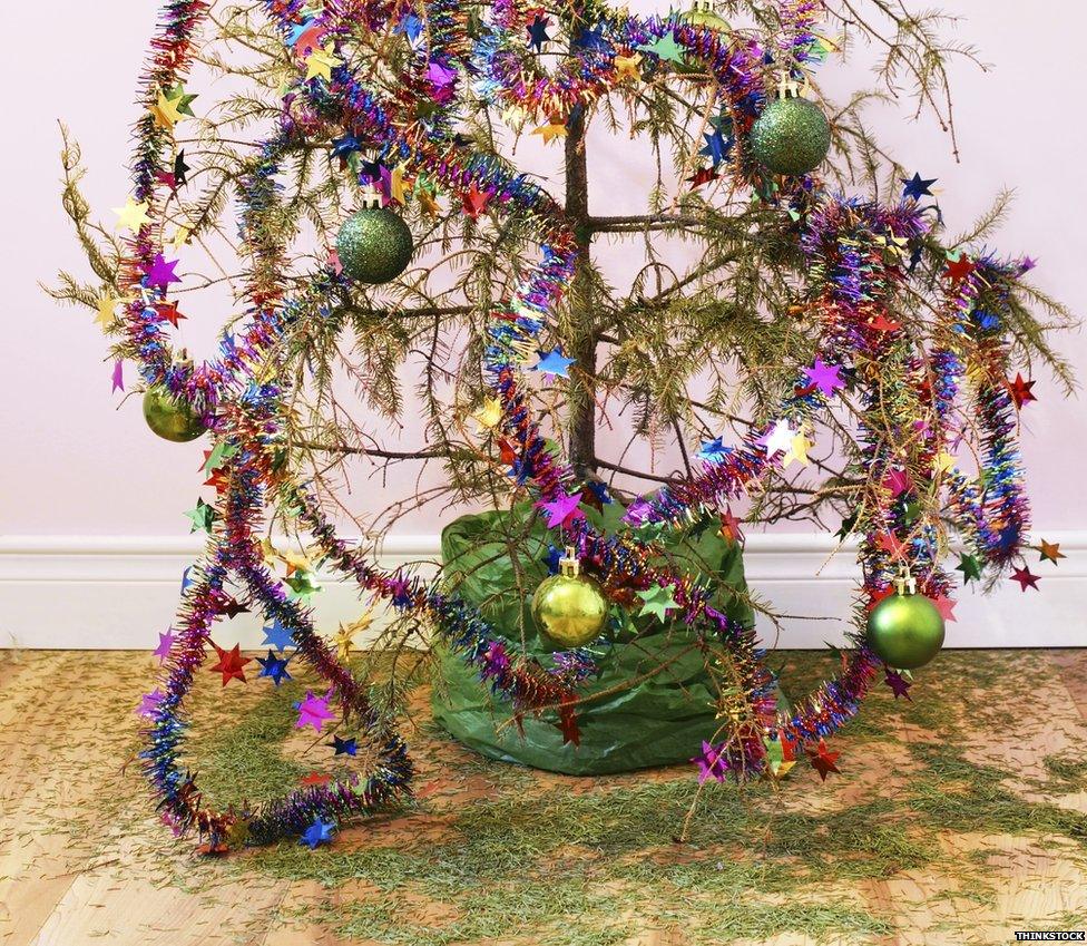 The six emotions of owning a Christmas tree - BBC News