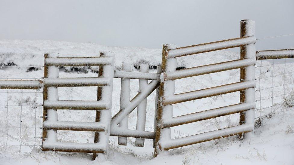 In pictures: Snow hits UK - BBC News