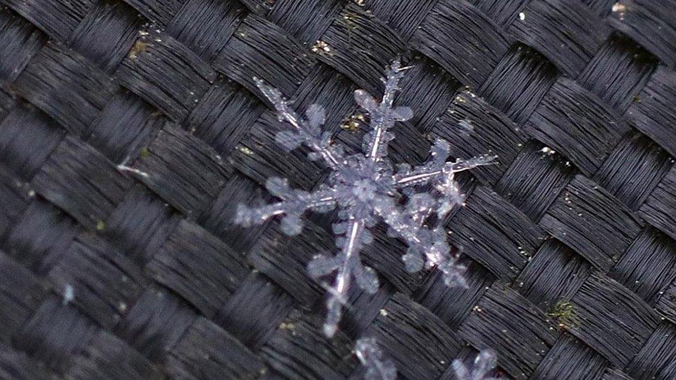 Beautiful snowflakes photographed by BBC Weather Watchers - BBC Weather